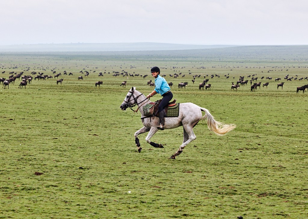 History of Horseback Riding Origins & Evolution | Everywhere