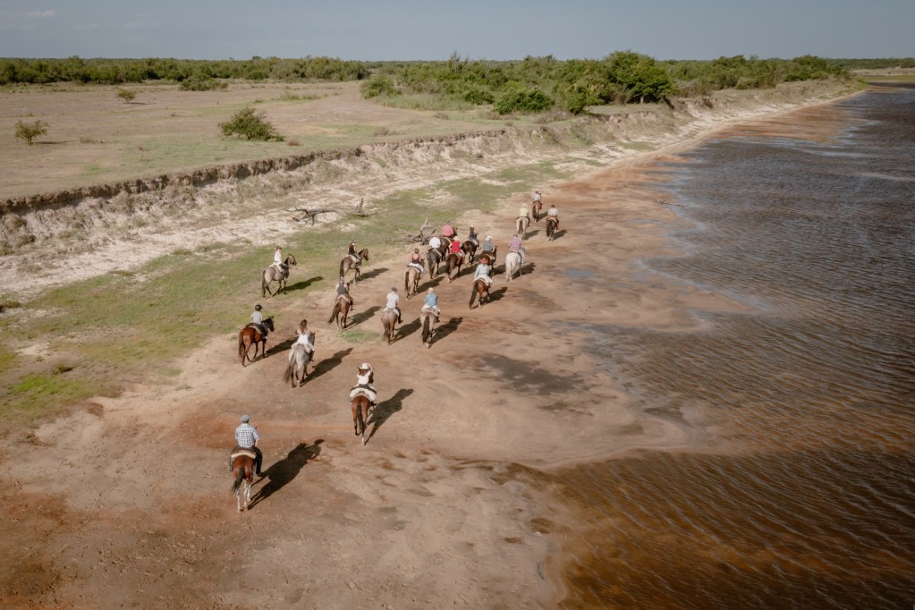 History of Horseback Riding Origins & Evolution | Everywhere